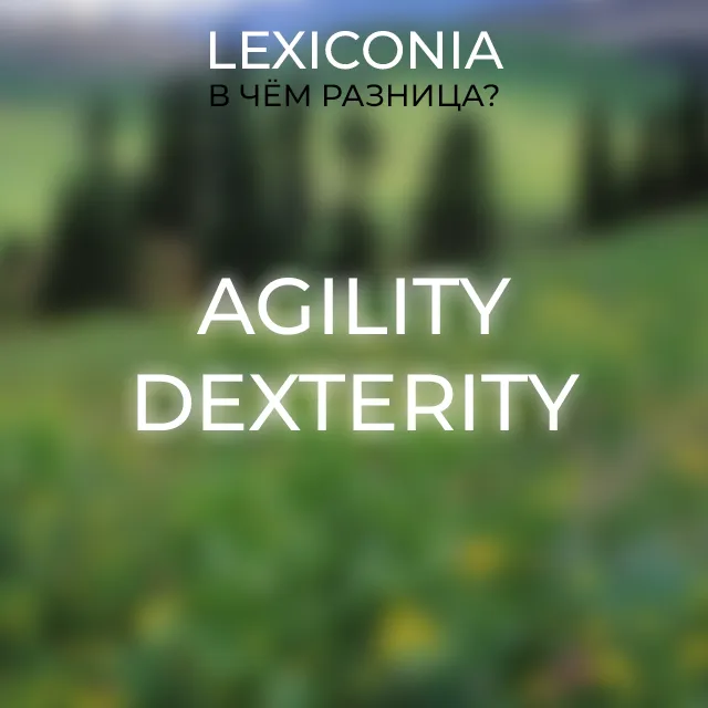Agility и Dexterity: различия и примеры