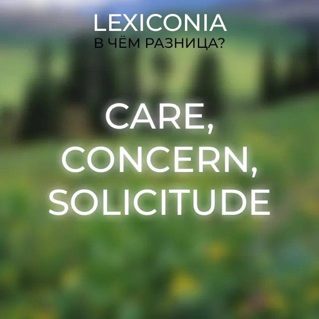 Различия между Care, Concern и Solicitude: важные нюансы