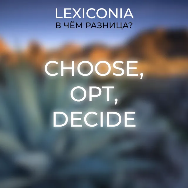Choose, Opt и Decide: разница в использовании