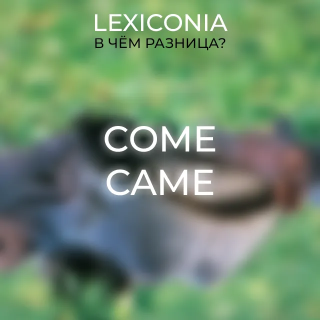 Глаголы "Come" и "Came": отличия и примеры использования