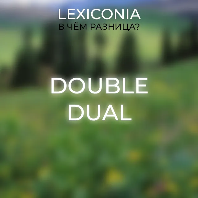 Double и Dual: как различить и использовать?