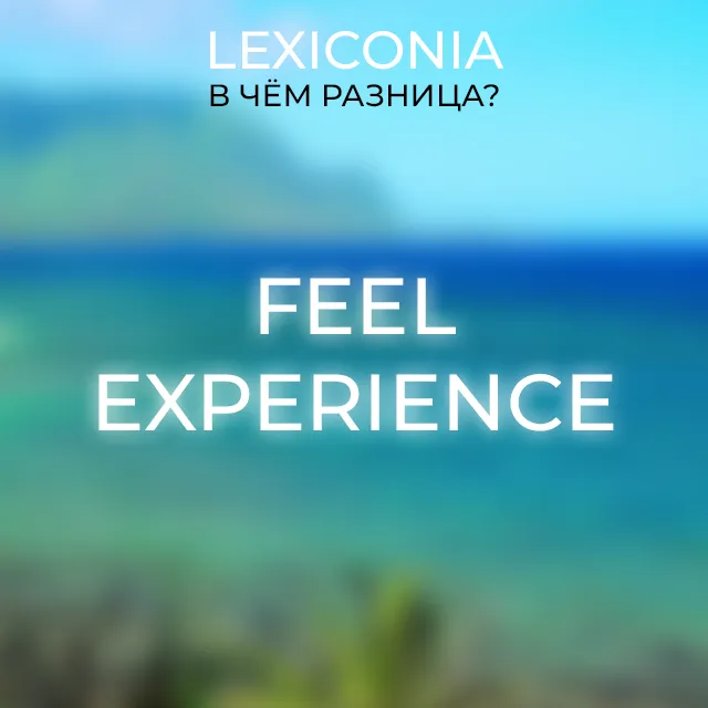 Feel и Experience: понимаем различия