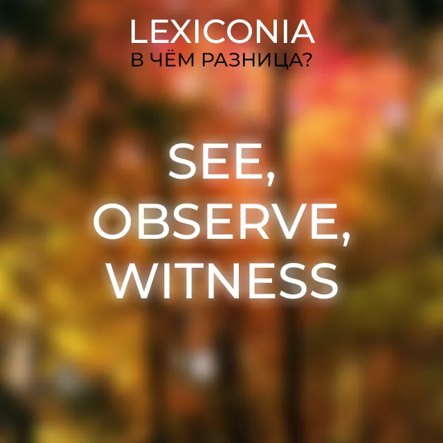 Отличия между See, Observe и Witness в английском языке