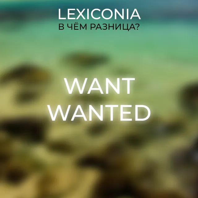 Want и Wanted: отличия и применение в английском языке