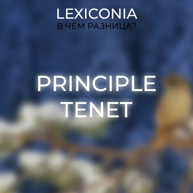 Principle и Tenet: ключевые различия в английском языке