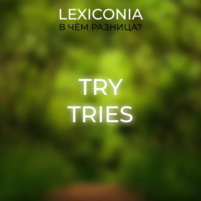 Try и Tries: разбираем разницу между глаголами в английском