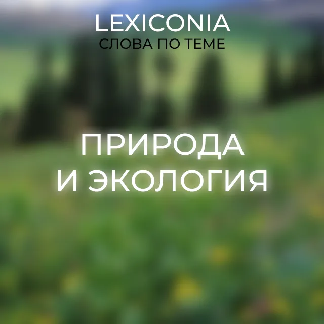 Английские слова на тему природы и экологии
